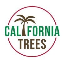 Which Fruit Trees Grow Best in California? A Local Gardener's Answer ...